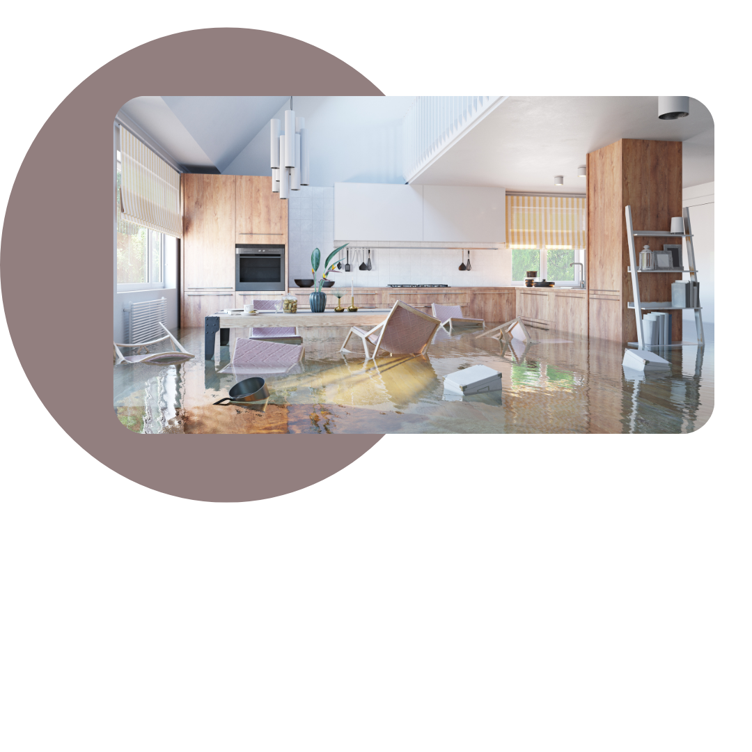 Understanding Flood Damage and Insurance: What Homeowners Need to Know ...